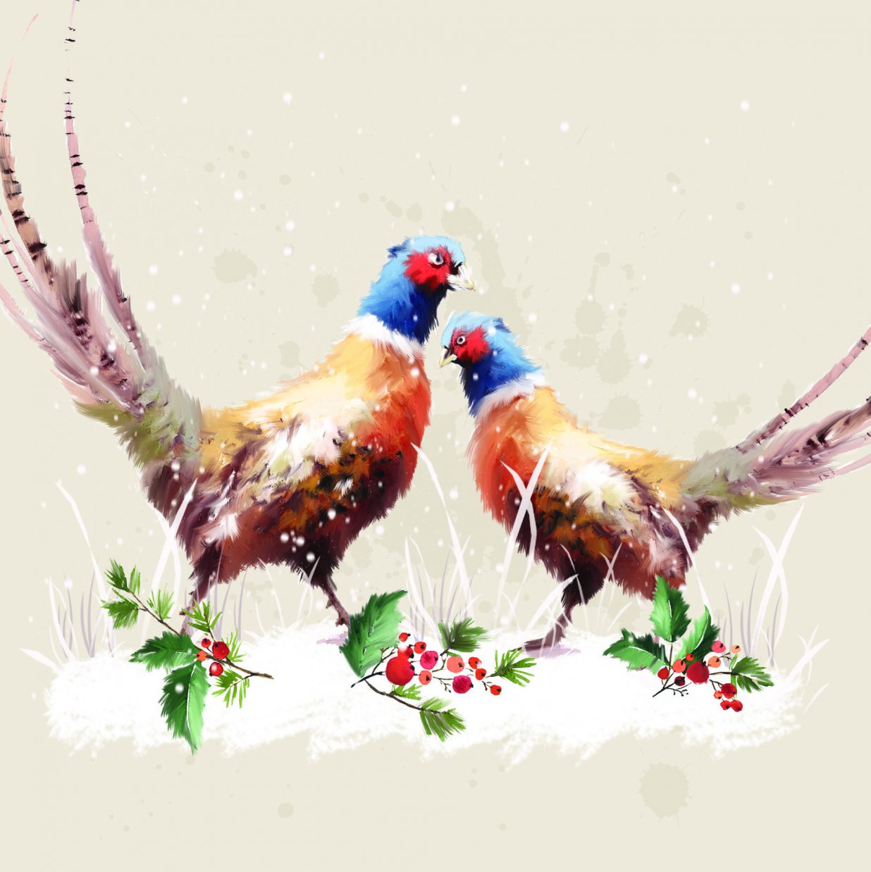 pheasant-couple-christmas-card - St Nicholas Hospice Care website
